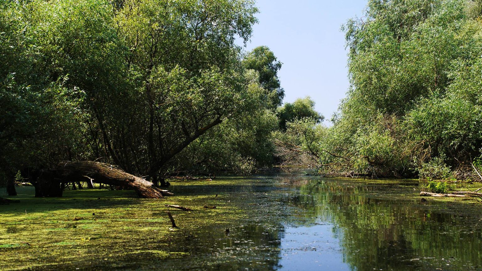 Delta Dunaju (Delta Dunării) - Rumunia.Travel.Pl