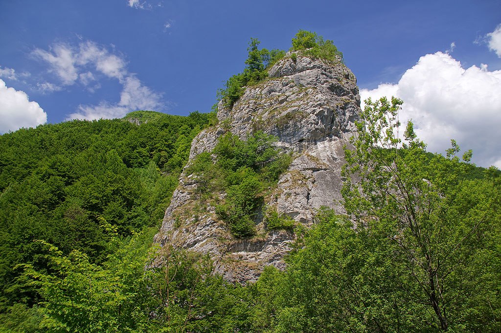 Cheile Feneşului (Caprei)